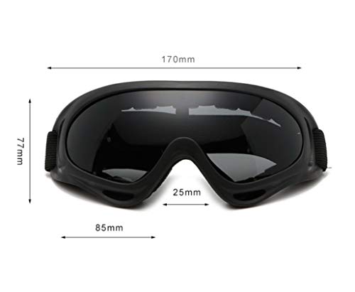 Chezi X400 Anti-Fog Ski Goggles Snowboard Goggles (Grey)