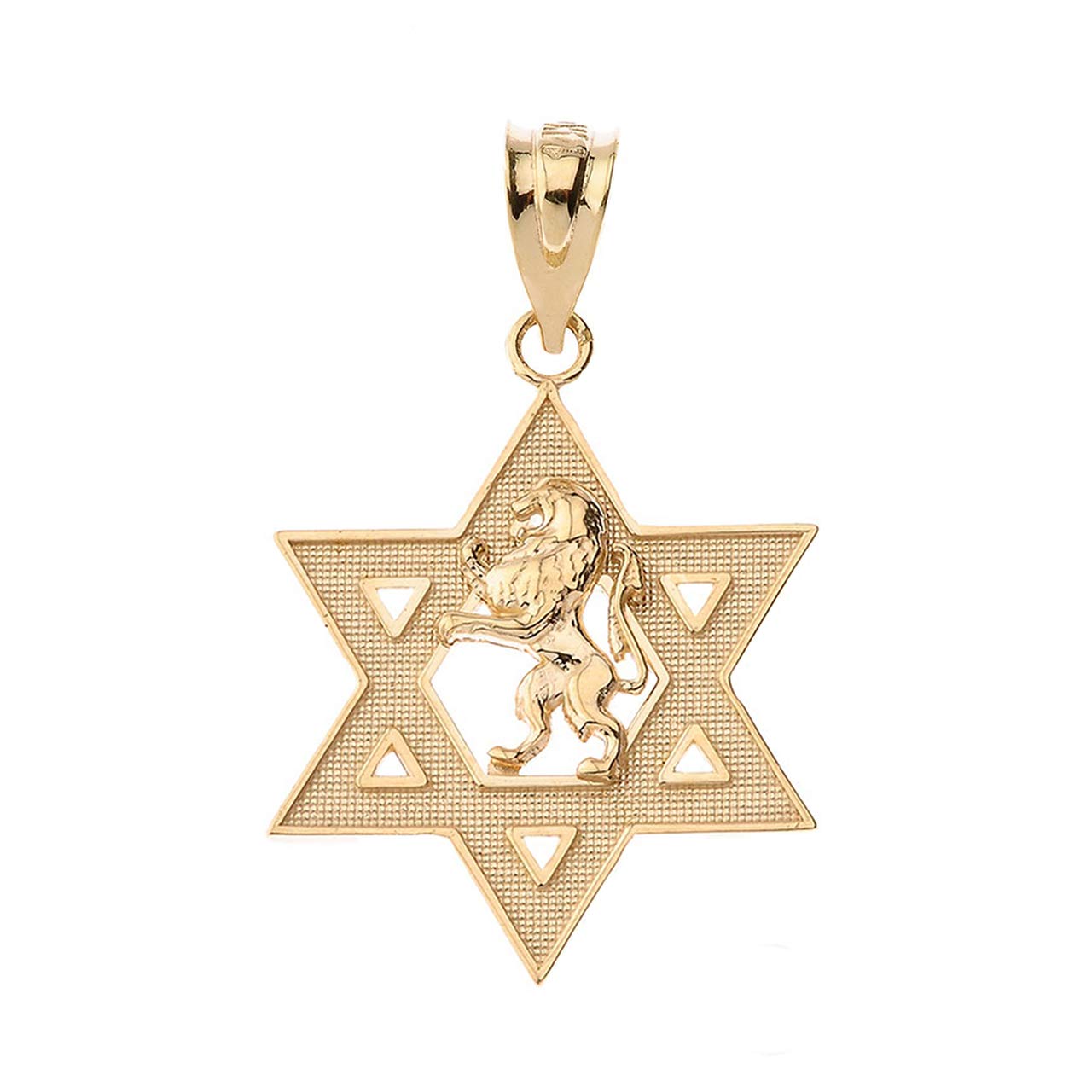 Certified 14k Yellow Gold Israel Lion of Judah Magen David Star Hebrew Pendant