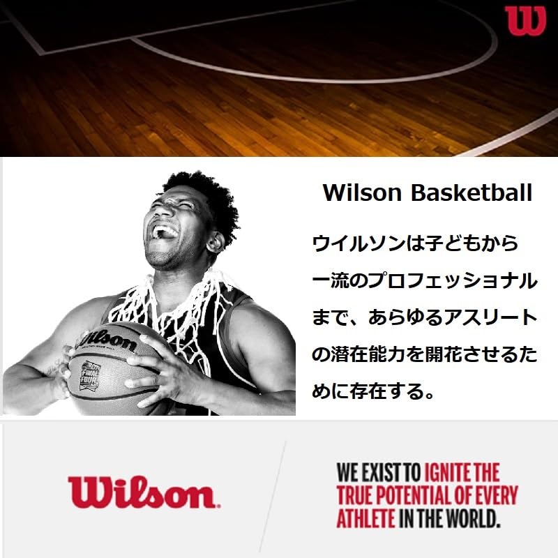 Wilson Evolution Official Size Game Basketball