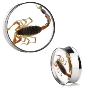 awinrel ear gauges plugs genuine scorpion inlay stainless steel double flare tunnels stretching expander body piercing jewelry 2 pieces 1" 25mm