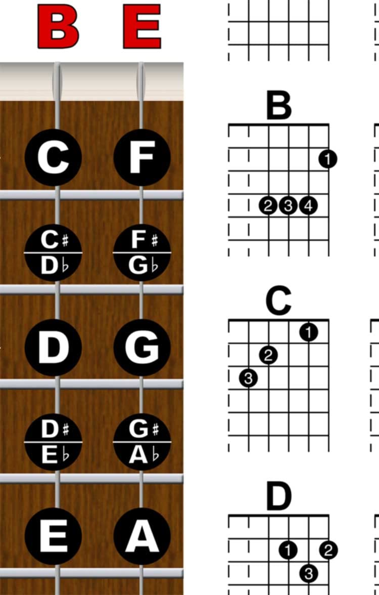 A New Song Music Laminated Guitar Chord & Fretboard Note Chart Instructional Easy Poster for Beginners Chords & Notes 11"x17"