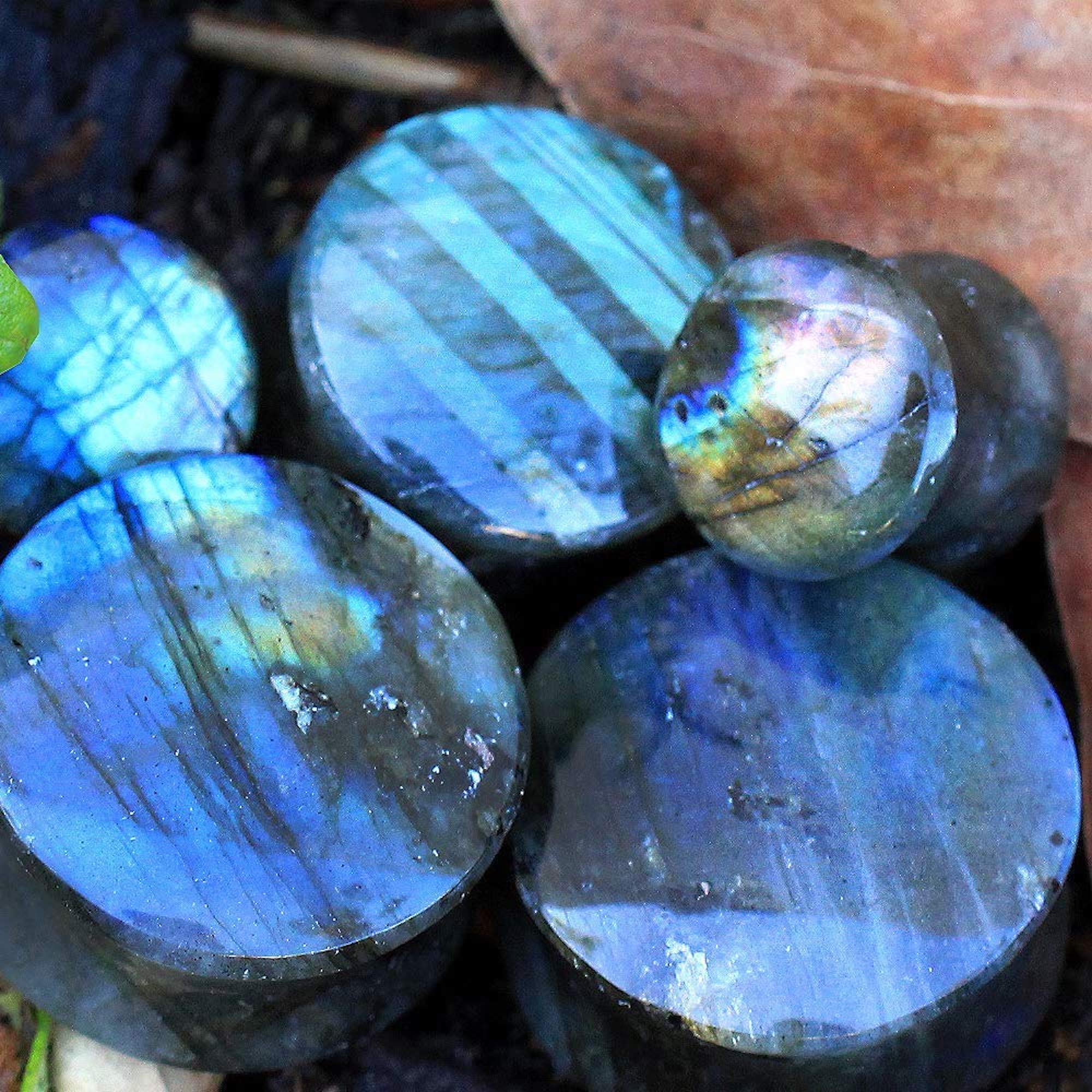 Covet Jewelry AAA Grade Natural Labradorite Stone Saddle Plug (00GA)