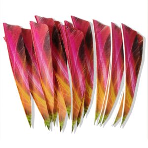 ameyxgs 50pcs archery arrow feather 4 inch natural turkey faether colorful arrow fletches right wing hunting shooting target arrow accessory (color 6)