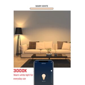 Energizer Connect Smart A19 LED Warm White Light Bulb with Voice Control and Remote Access Through Your Smartphone | Compatible with Alexa and Google Assistant