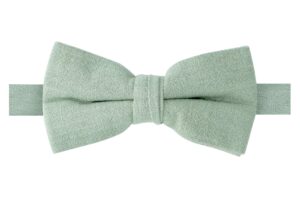 spring notion men's linen blend bow tie sage