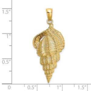 Solid 14k Yellow Gold 2-D COMMON WENTLETRAP SHELL Charm Pendant - 13mm x 16mm