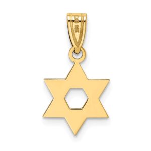 Solid 14k Yellow Gold Star of David Lucky Jewish Pendant Charm - 18mm x 11mm