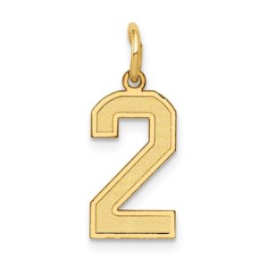 solid 14k yellow gold small number 2 charm brushed matte finish pendant - 18mm x 7mm