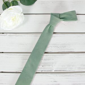 Spring Notion Men's Linen Blend Skinny Necktie Sage Green Tie for Men