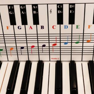 QMG Piano and Keyboard Note Chart, Use Behind the Keys, Ideal Visual Tool for Beginners Learning Piano or Keyboard, Easy to Set Up, for any Medium to Full Size Piano or Keyboard, Cover Four Octaves