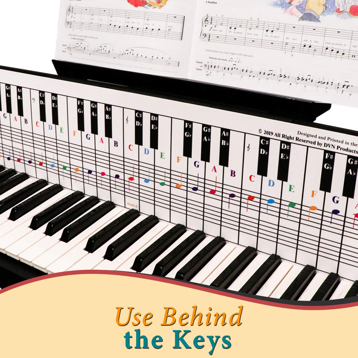 QMG Piano and Keyboard Note Chart, Use Behind the Keys, Ideal Visual Tool for Beginners Learning Piano or Keyboard, Easy to Set Up, for any Medium to Full Size Piano or Keyboard, Cover Four Octaves