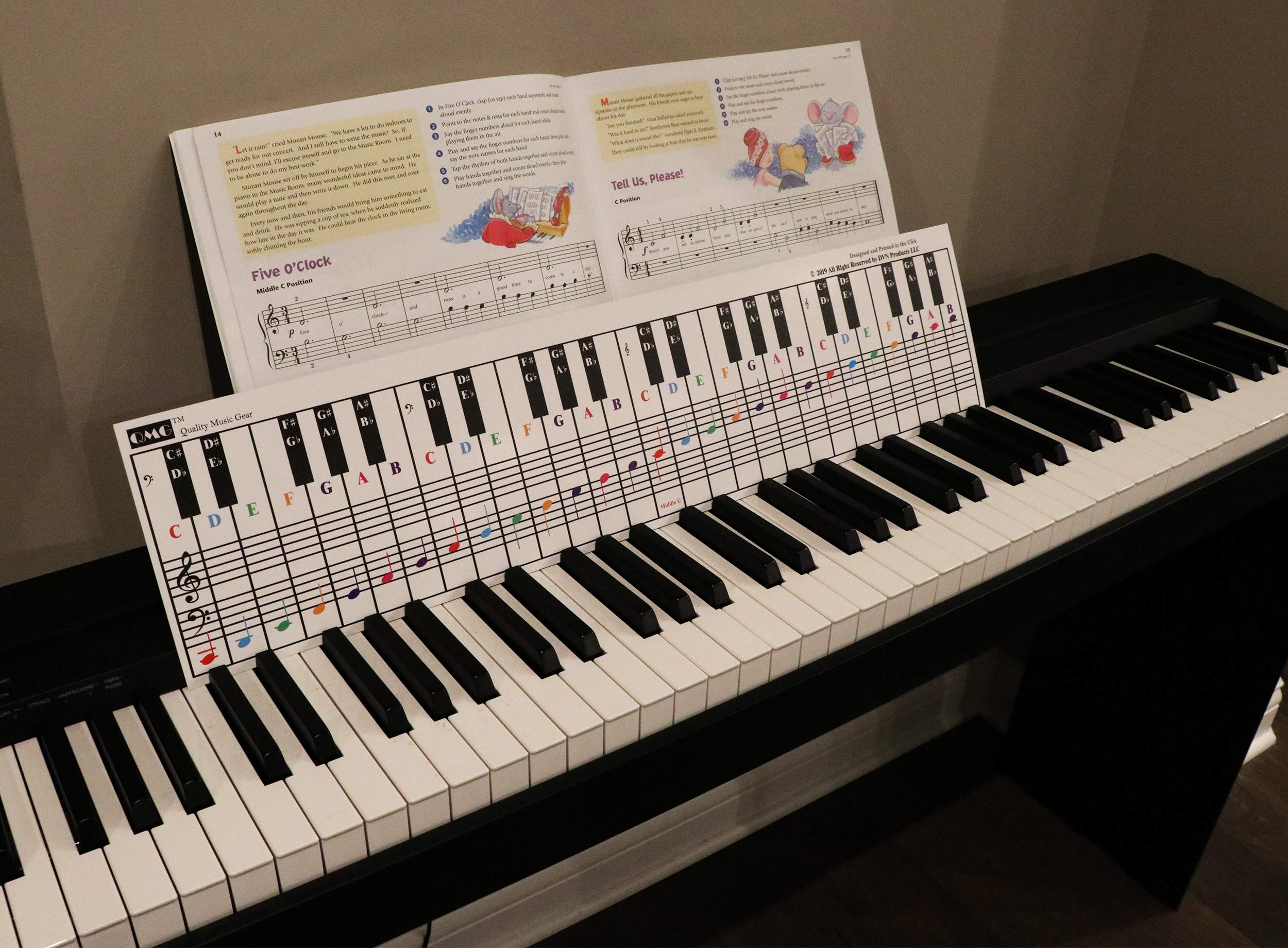 QMG Piano and Keyboard Note Chart, Use Behind the Keys, Ideal Visual Tool for Beginners Learning Piano or Keyboard, Easy to Set Up, for any Medium to Full Size Piano or Keyboard, Cover Four Octaves