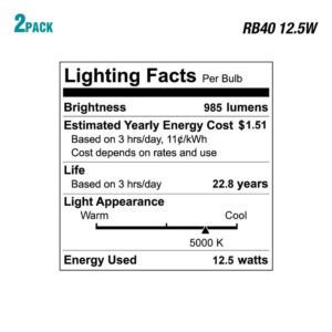 EcoSmart 75-Watt Equivalent BR40 Dimmable Energy Star LED Light Bulb Daylight (2-Pack)