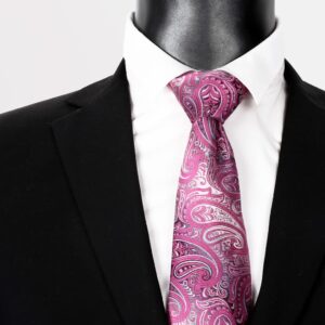 Alizeal Paisley Men's Tie and Pocket Square Sets (59" Length x 3.5" Width, Rose Pink)