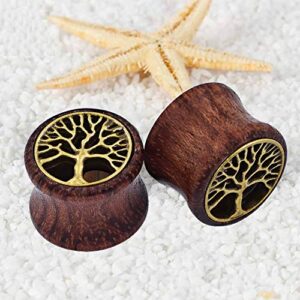 JOYTOYOU 3 Pairs Natural Wooden Ear Tunnels Plugs Hollow Double Flared Ear Expander Plugs Ear Piercing Ear Stretcher for Women and Men Gauge 20mm(3/4")