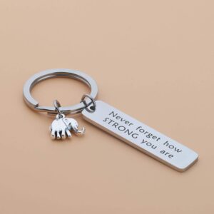 bobauna Elephant Keychain Don't Forget How Strong You Are Strength Jewelry Uplifting Gift For Friend Family Animal Lovers (never forget keychain)