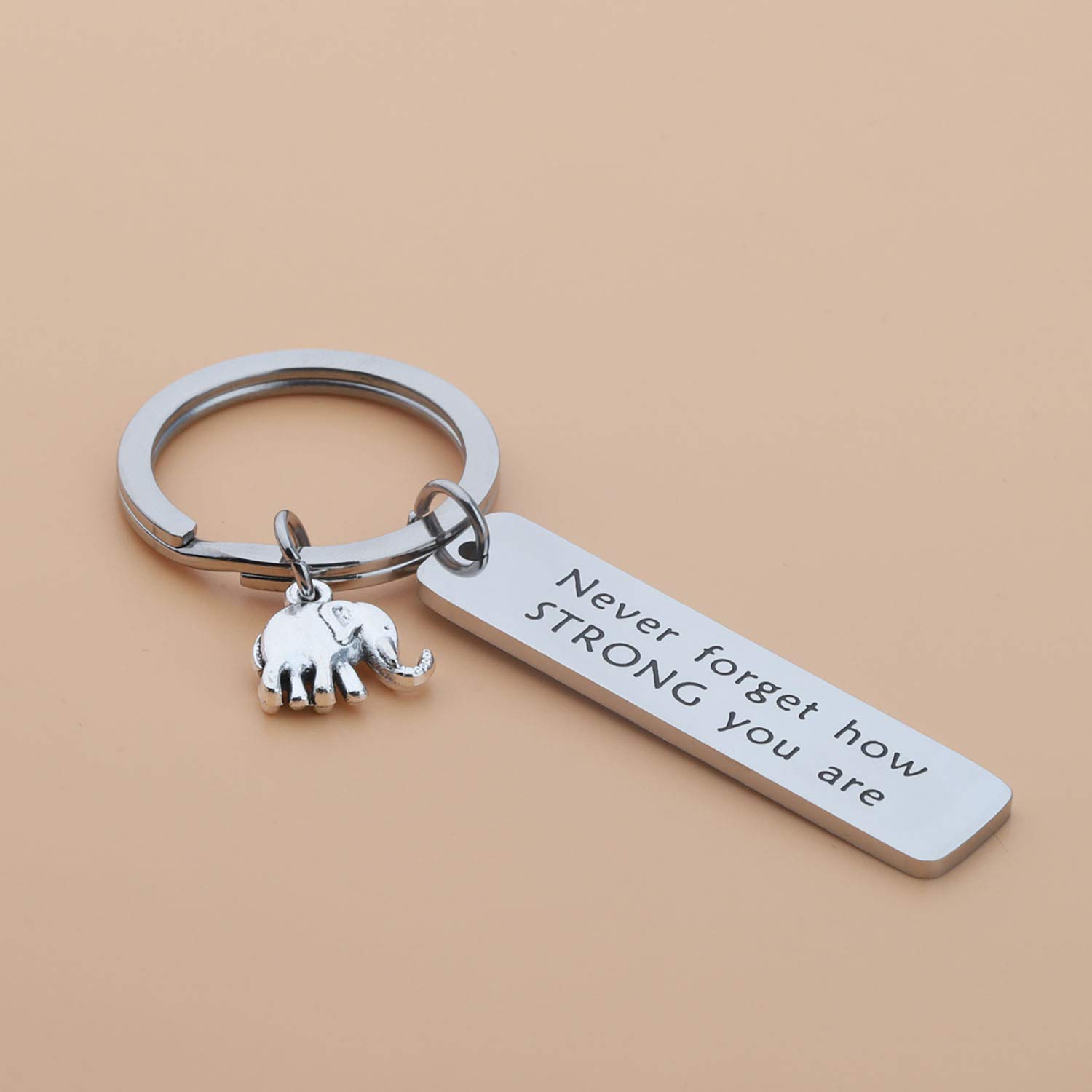 bobauna Elephant Keychain Don't Forget How Strong You Are Strength Jewelry Uplifting Gift For Friend Family Animal Lovers (never forget keychain)