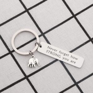 bobauna Elephant Keychain Don't Forget How Strong You Are Strength Jewelry Uplifting Gift For Friend Family Animal Lovers (never forget keychain)