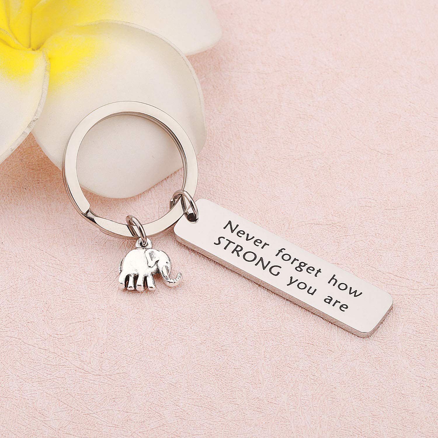 bobauna Elephant Keychain Don't Forget How Strong You Are Strength Jewelry Uplifting Gift For Friend Family Animal Lovers (never forget keychain)