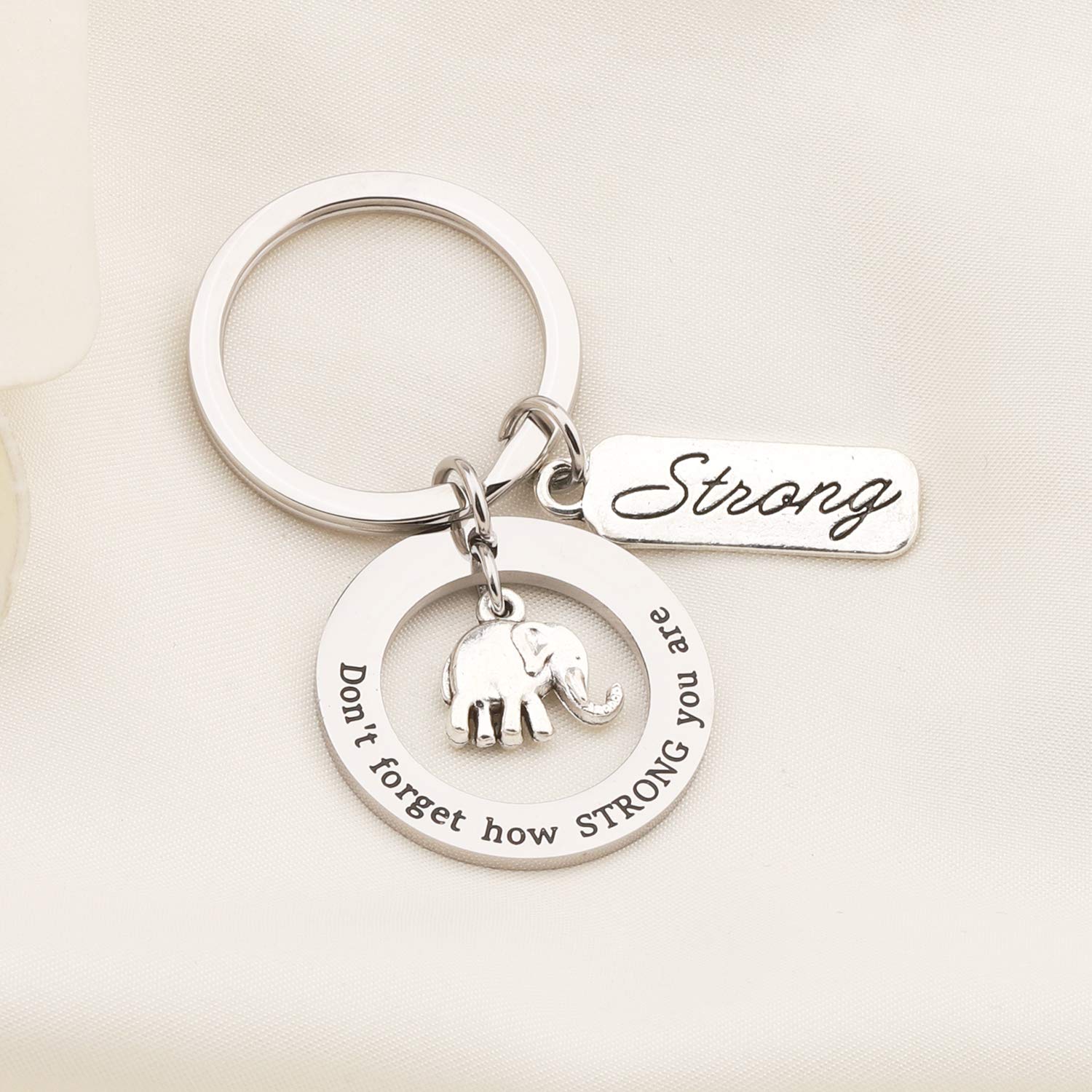 bobauna Inspirational Elephant Keychain Bracelet Never Forget How Strong You are Encouragement Jewelry Gift for Friend Family (Elephant Round Keychain)