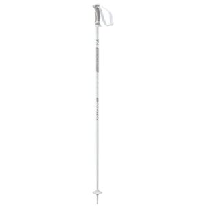 salomon arctic lady ski poles - 105, white/grey