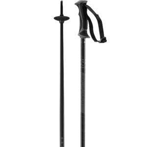 salomon arctic lady ski poles - 105