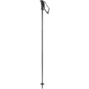 Salomon Arctic Lady Ski Poles - 105