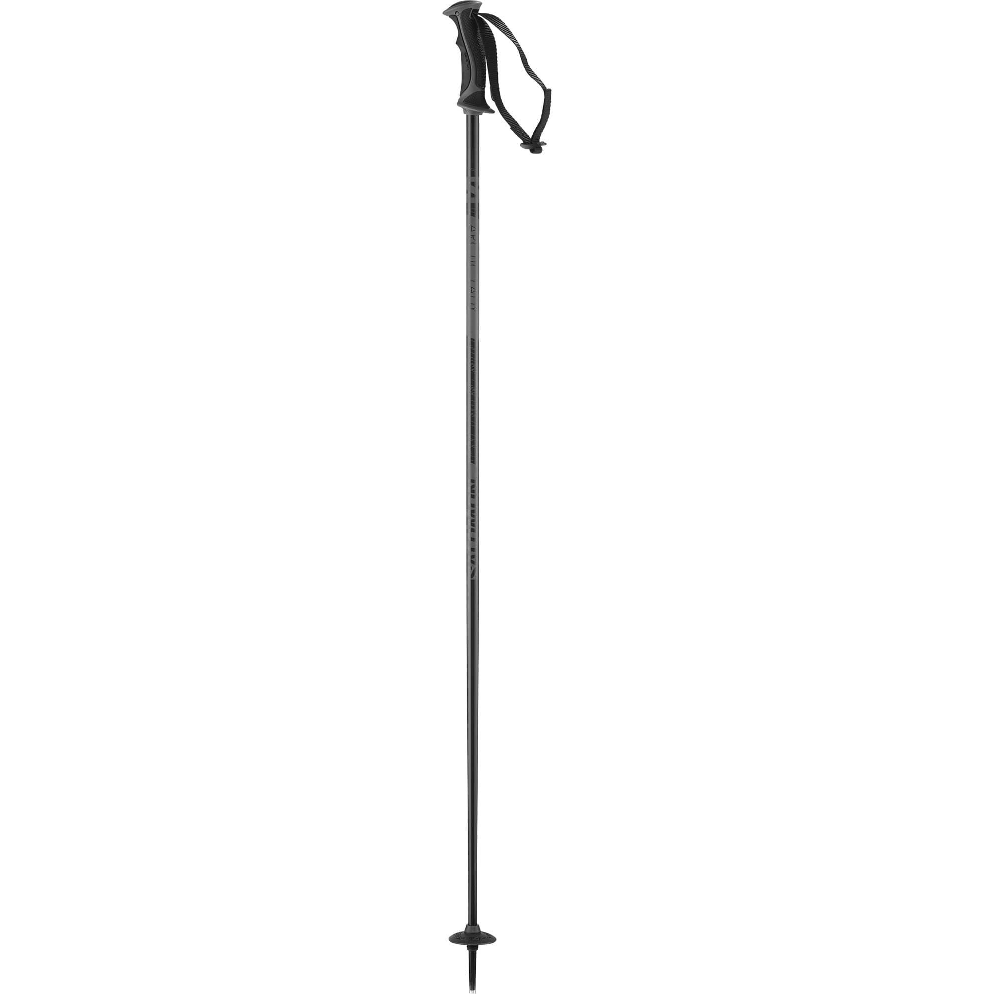 Salomon Arctic Lady Ski Poles - 105