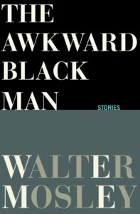 the awkward black man: stories