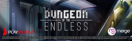 Dungeon of The Endless - Nintendo Switch