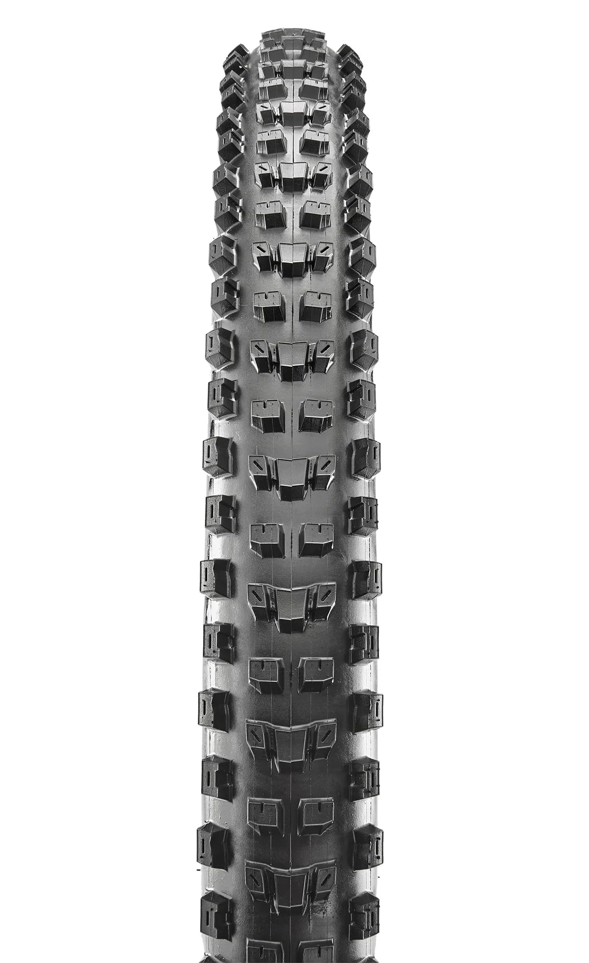 Maxxis Dissector 27.5 X 2.4 WT 60 TPI Folding Dual Compound EXO/TR