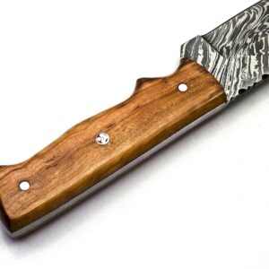 Nooraki REG-48 Hunting/Skinner Damascus Steel Handmade Knife 11 Inches Full Tang with Leather Sheath, Olive Wood