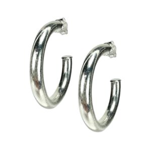 sheila fajl thick chantal hoop earrings in brushed silver plated