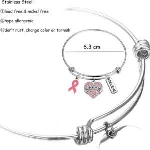 Gzrlyf Stainless Steel Bangle, Survivor Bracelet for Breast Cancer Awareness, Pink Heart Charm