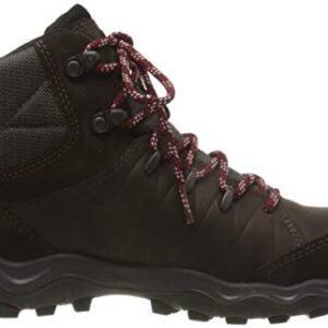 ECCO Men's Hiking Ankle Boot, Brown Licorice Coffee, 10-10.5