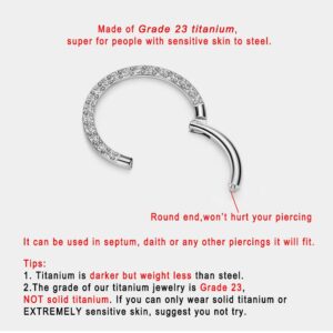 FANSING Grade 23 Titanium Daith Earrings for Women 16 Gauge Helix Cartilage Ear Piercing Hoop 10mm Septum Jewelry Silver Hinged Septum Nose Rings 16g Clicker