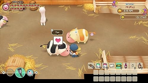 Story of Seasons - Friends Of Mineral Town (Nintendo Switch)