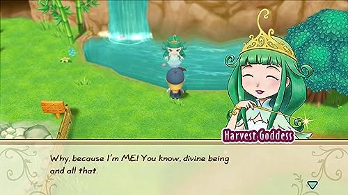 Story of Seasons - Friends Of Mineral Town (Nintendo Switch)