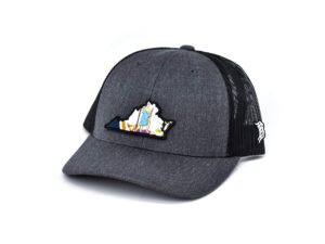 branded bills 'the 10 pvc' virginia patch hat curved trucker - one size fits all (charcoal/black)