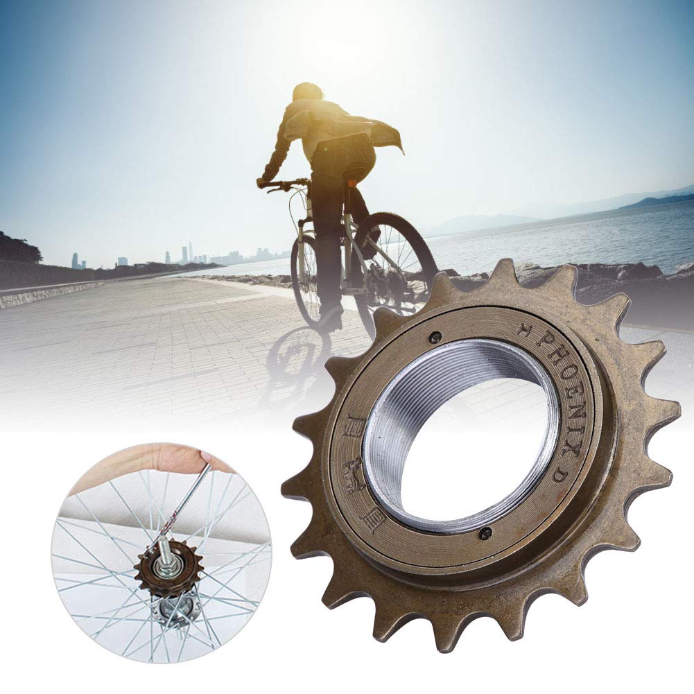 Alomejor Flywheel Sprockets Parts Spoke Chain Wheel Bike Rear Wheel Single Speed Freewheel for Mountain Road Bike