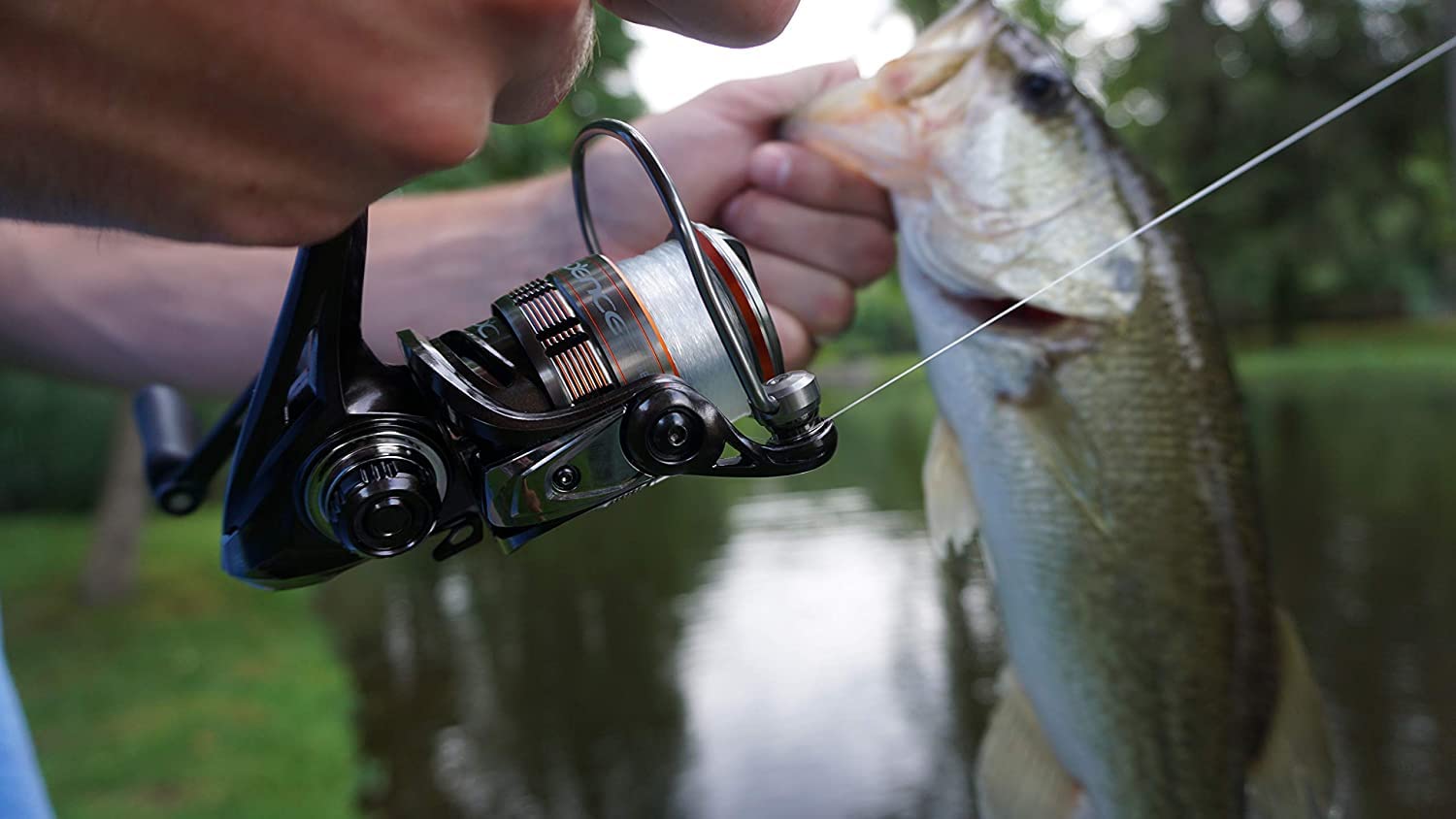 Cadence Spinning Reel-Elate 10+1 BB Light Weight & Durable -Stainless Steel Main Shaft, Die-Casting Handle&Double Anodized Spool-Ultra Smooth Powerful Reel with Graphite Body &Felt Washer