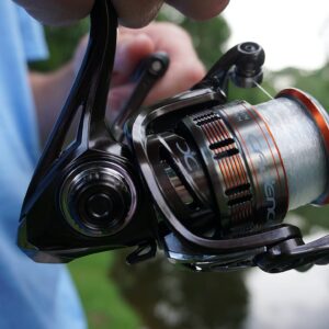 Cadence Spinning Reel-Elate 10+1 BB Light Weight & Durable -Stainless Steel Main Shaft, Die-Casting Handle&Double Anodized Spool-Ultra Smooth Powerful Reel with Graphite Body &Felt Washer