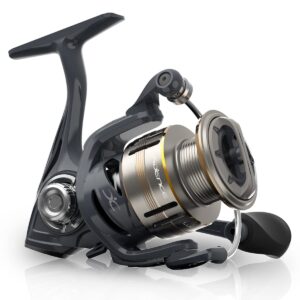 cadence lux spinning fishing reels - ultra smooth powerful spinning reel with 9+1 shielded bb, carbon fiber frame, 36lbs max drag, 5.2:1-6.2:1 high speed gear ratio & braid-ready spool (3000)