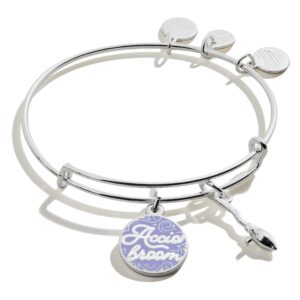 alex and ani collaborations harry potter accio duo charm expandable bangle for women, shiny silver finish, 2 to 3.5 in