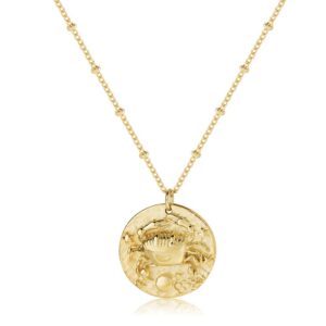 fremttly zodiac coin embossed necklace disc 12 constellation astrology horoscope 14k gold/silver plated round pendant personalized necklace gift for women cancer