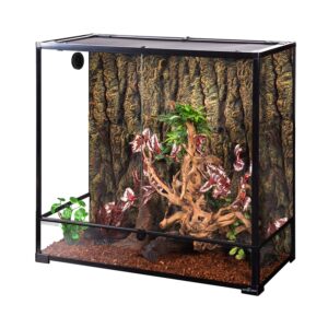 repti zoo large reptile terrarium, vertical reptile tank, wide & tall chameleon cage with top screen ventilation (36" w x 18" d x 36" h (glass))