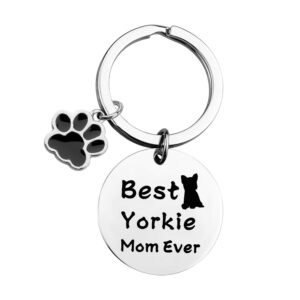 maofaed yorkie mom (yorkie mom)