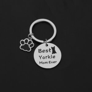 MAOFAED yorkie mom (yorkie mom)