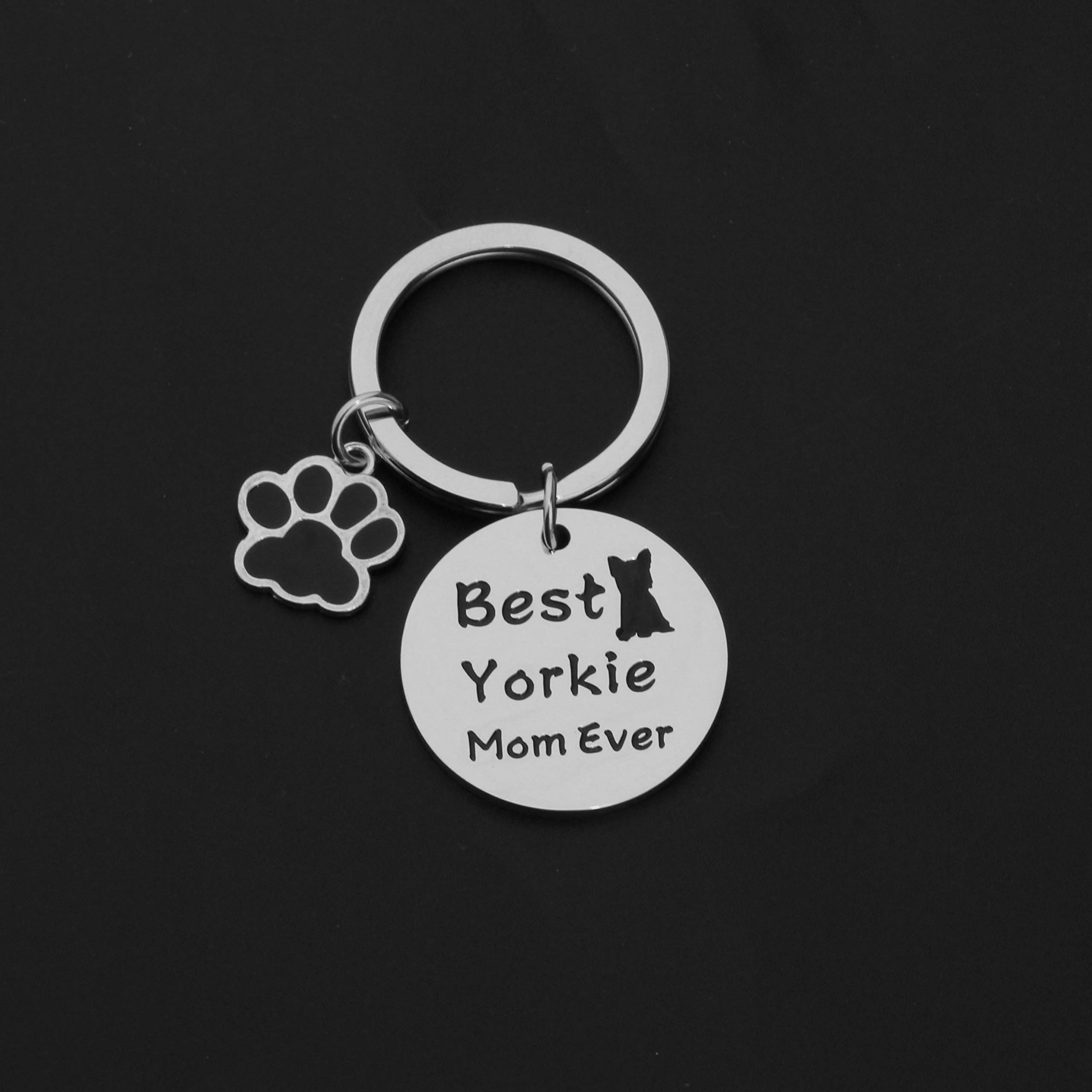 MAOFAED yorkie mom (yorkie mom)