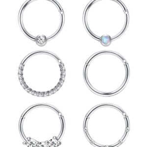 FIBO STEEL Cartilage Hoop Earrings for Men Women Stainless Steel CBR Hinged Clicker Nose Ring Helix Septum Couch Daith Lip Tragus Piercing Sleeper Earrings Jewelry Set 18G 10MM